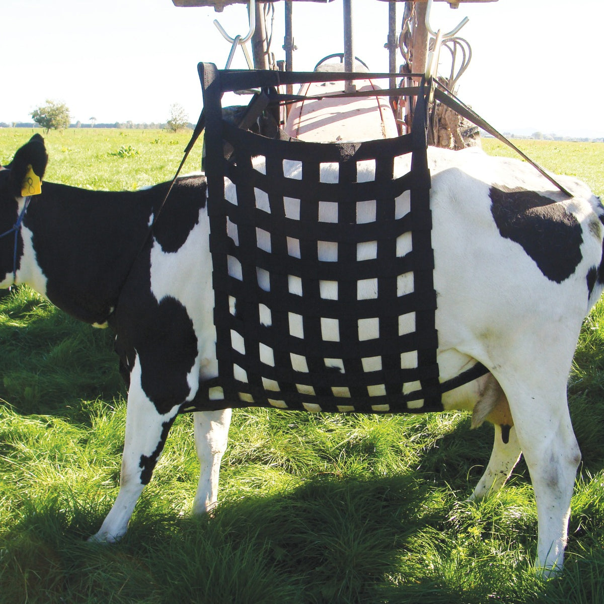 SHOOF COW LIFTEASE COMPLETE – Stock Health